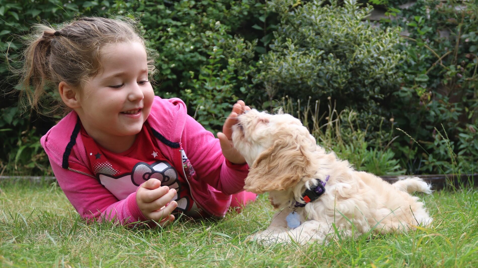 Diez razones por las que es bueno tener una mascota | ATRESMEDIA