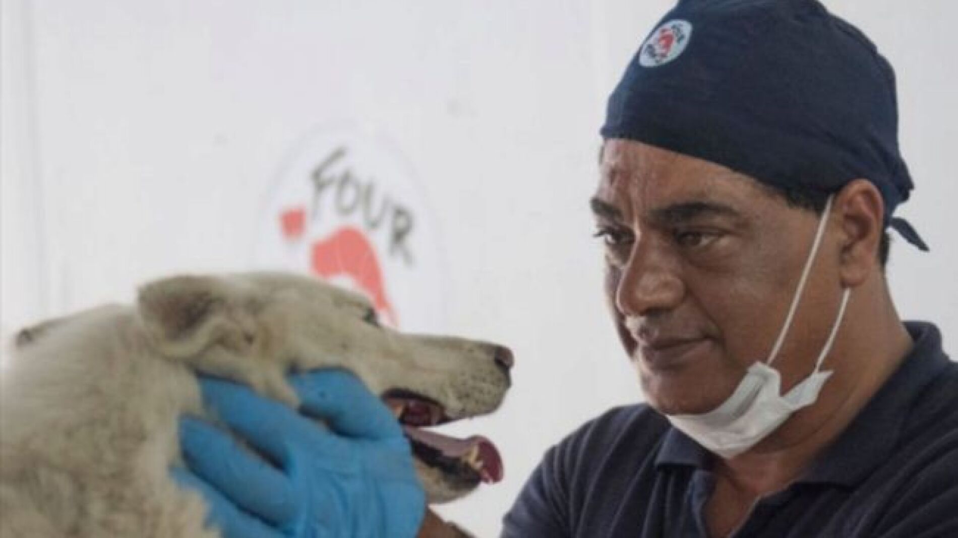 Amir Khalil, el veterinario que rescata animales de la guerra | ATRESMEDIA