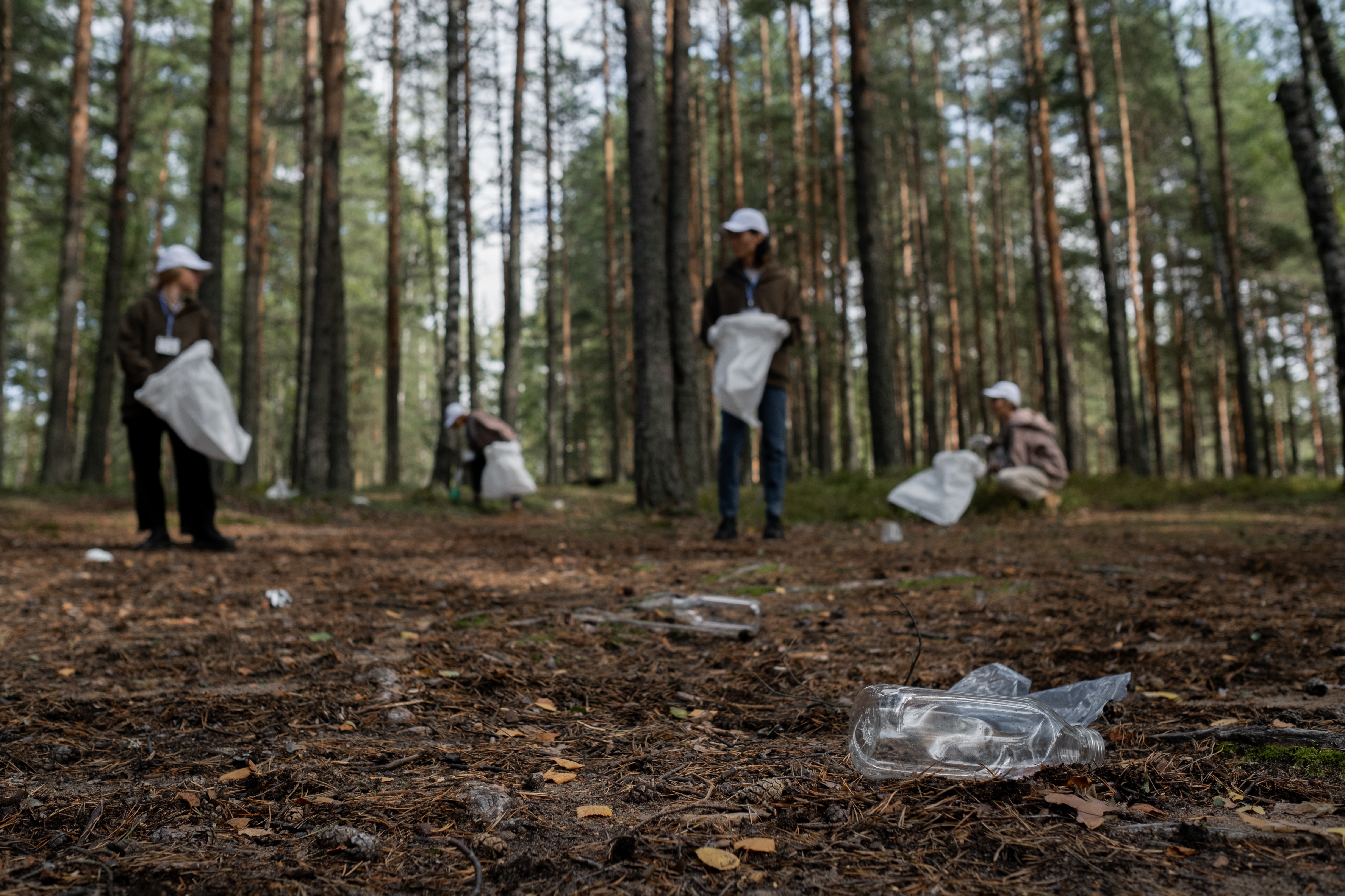 LIBERA lanza la VI edición del ‘1m2 por el campo, los bosques y el ...