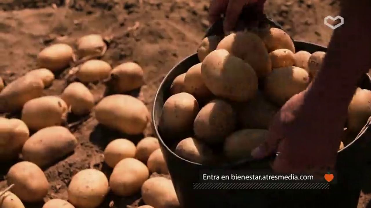 Añade a tus platos la patata, uno de los alimentos más versátiles ...
