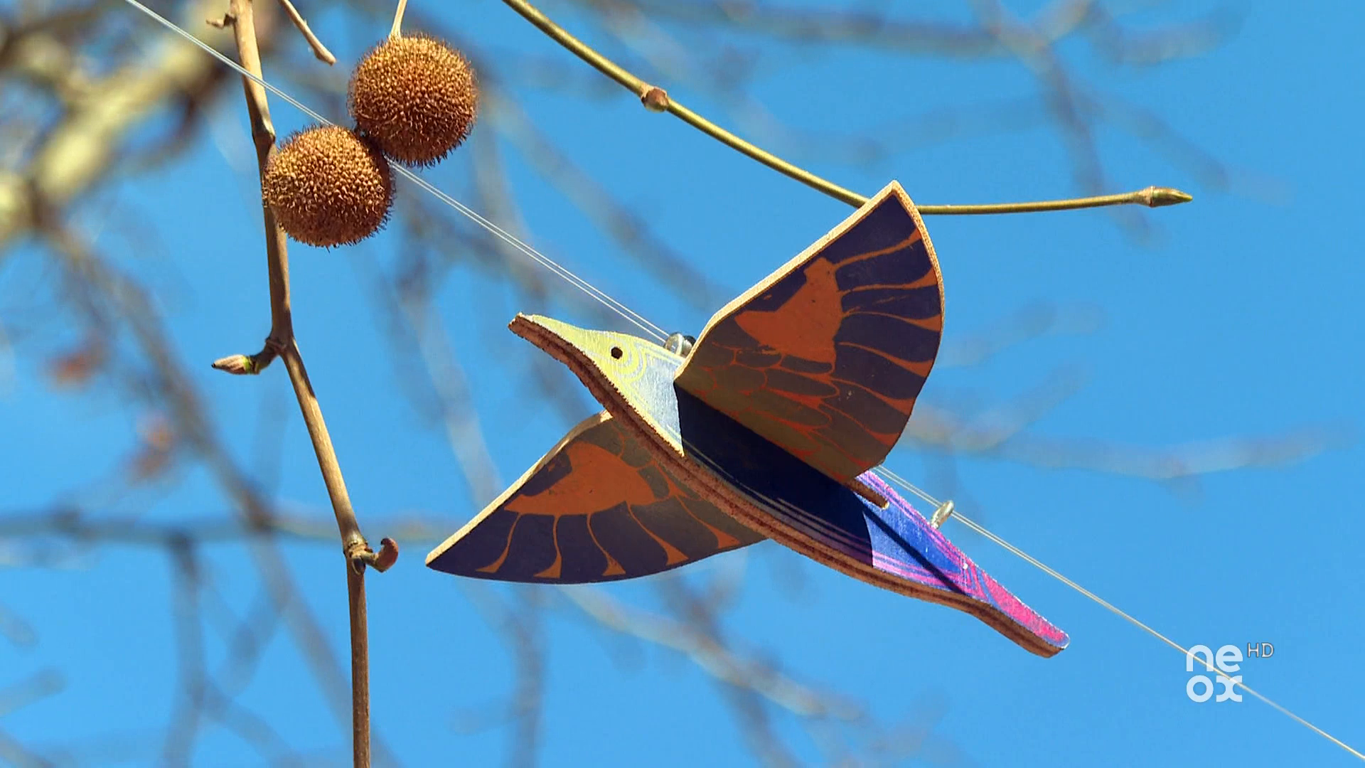 'Pájaros de calle', el proyecto que reconecta a los vecinos a través de ...