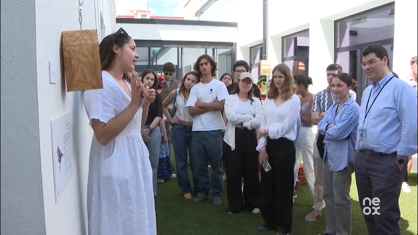 Casas de pájaros: un proyecto de coexistencia entre aves y humanos en Valencia | ATRESMEDIA